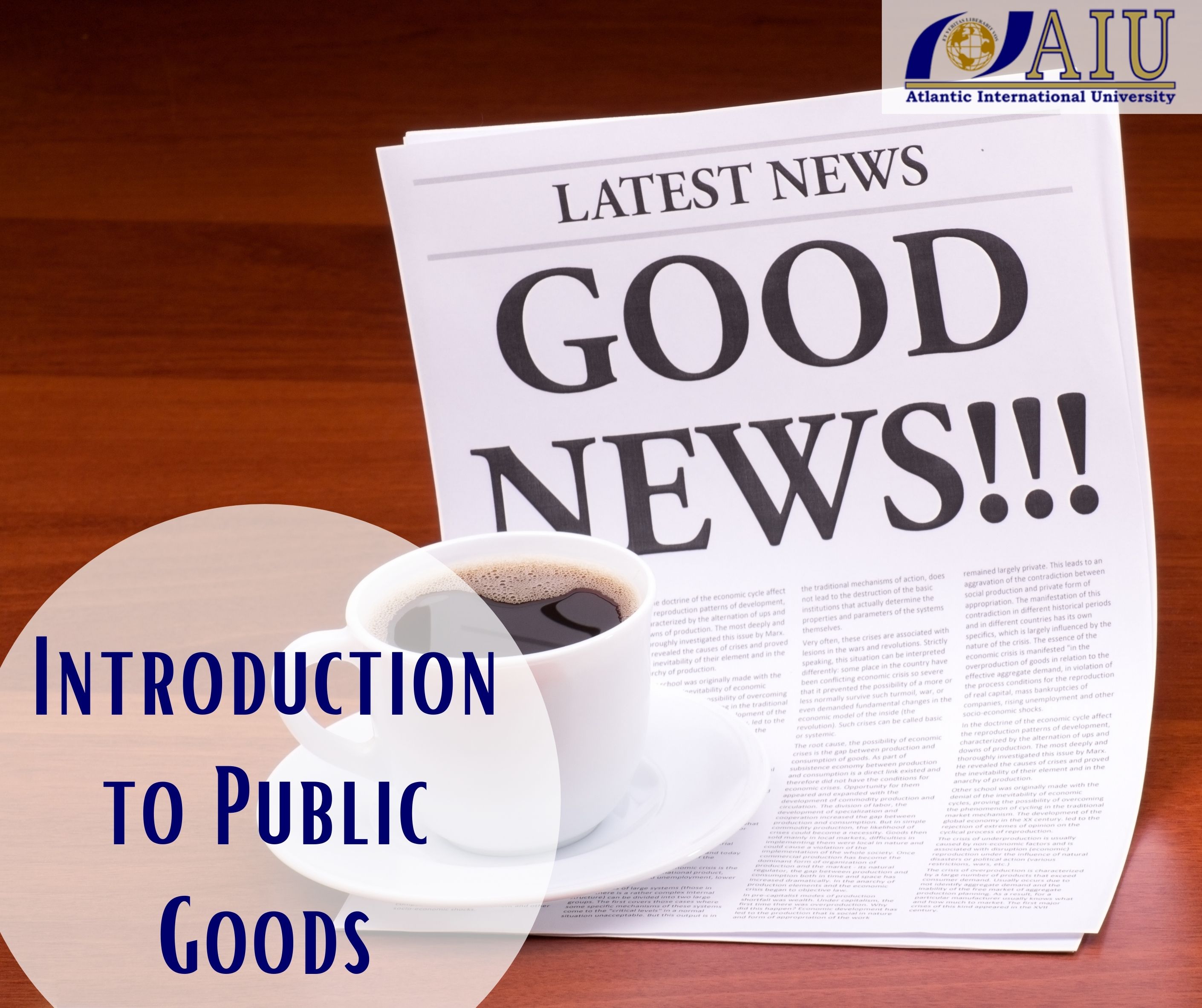 Introduction to Public Goods