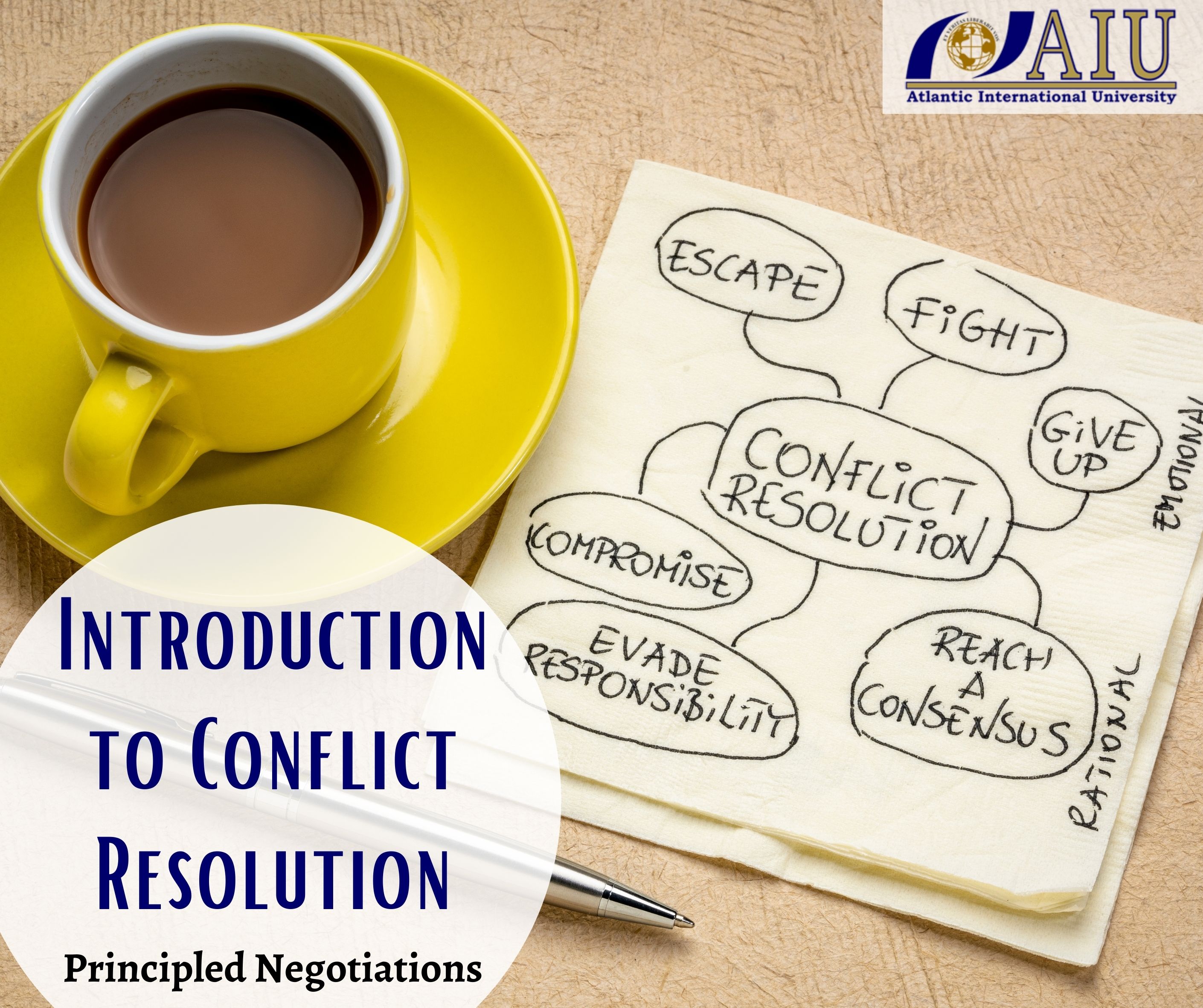 Introduction to Conflict Resolution