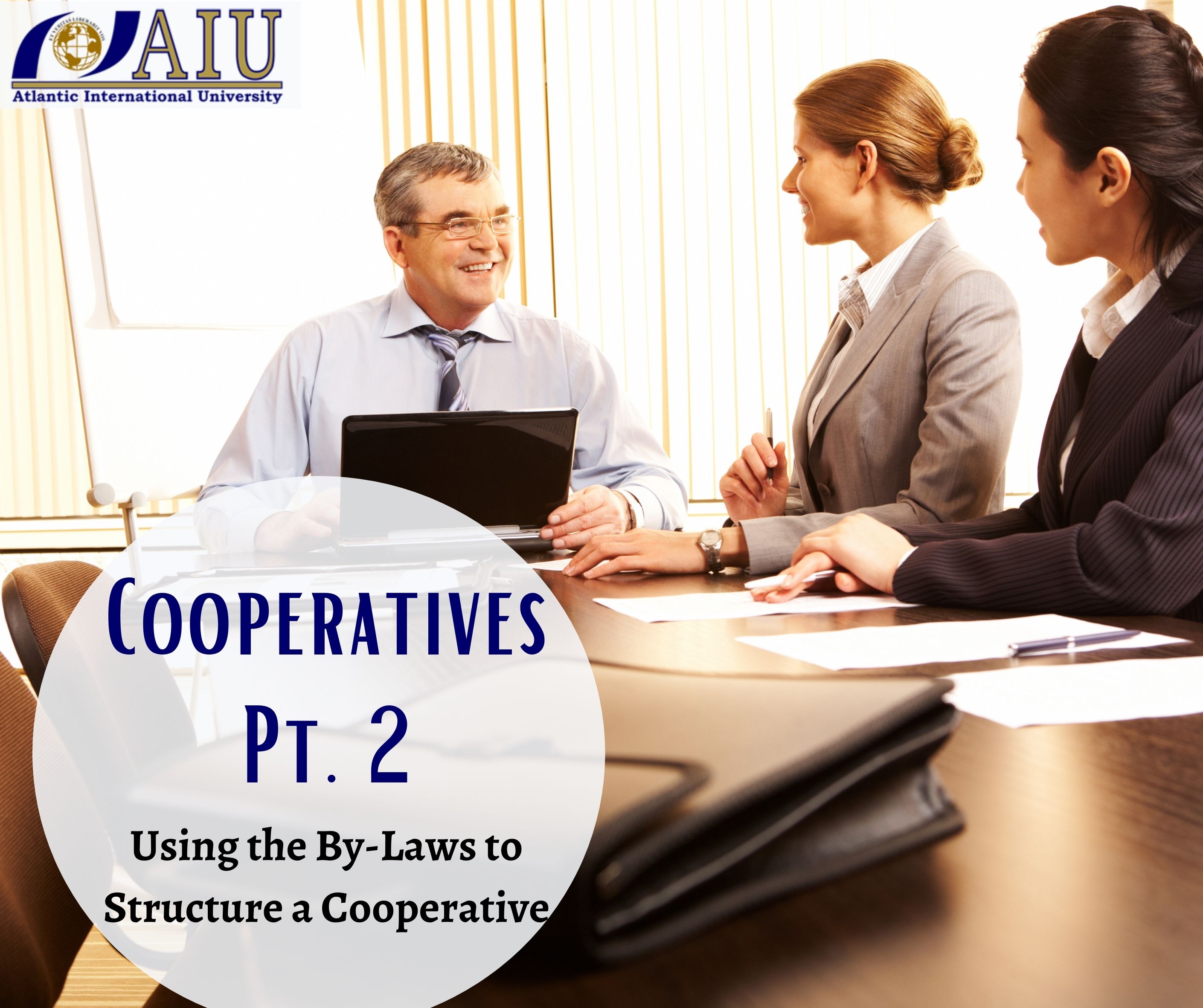 Cooperatives, part 2: Coop Structure in the By-Laws