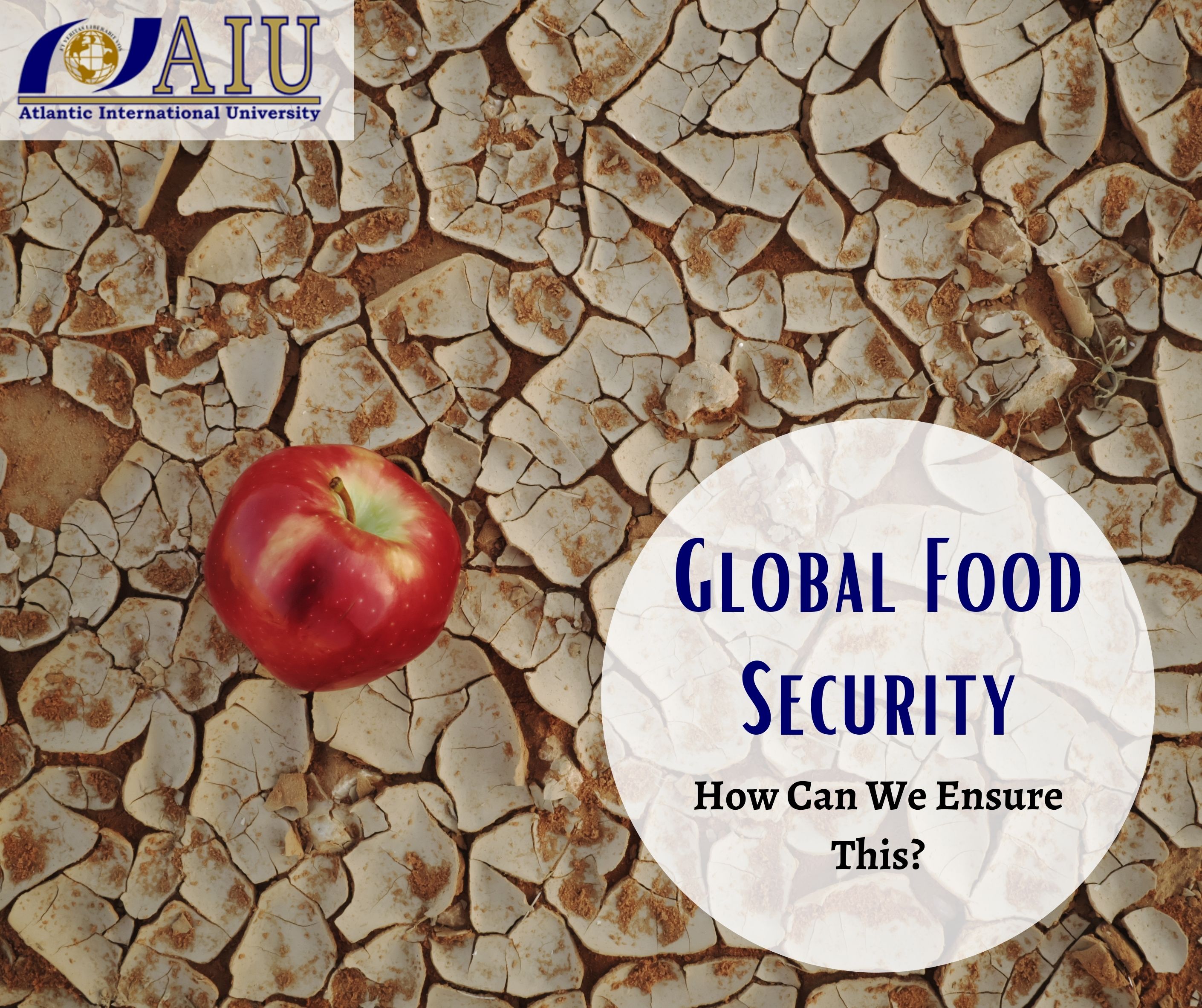 Global Food Security